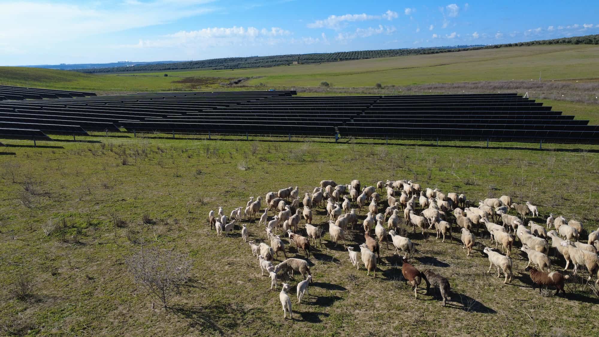 El parque solar Fundici se puso en funcionamiento con éxito - Ethical Power